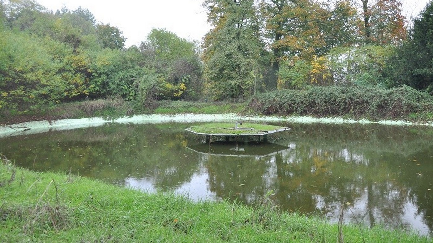 Parchi e giardini storici riqualificati con il Pnrr | Regione Piemonte ...